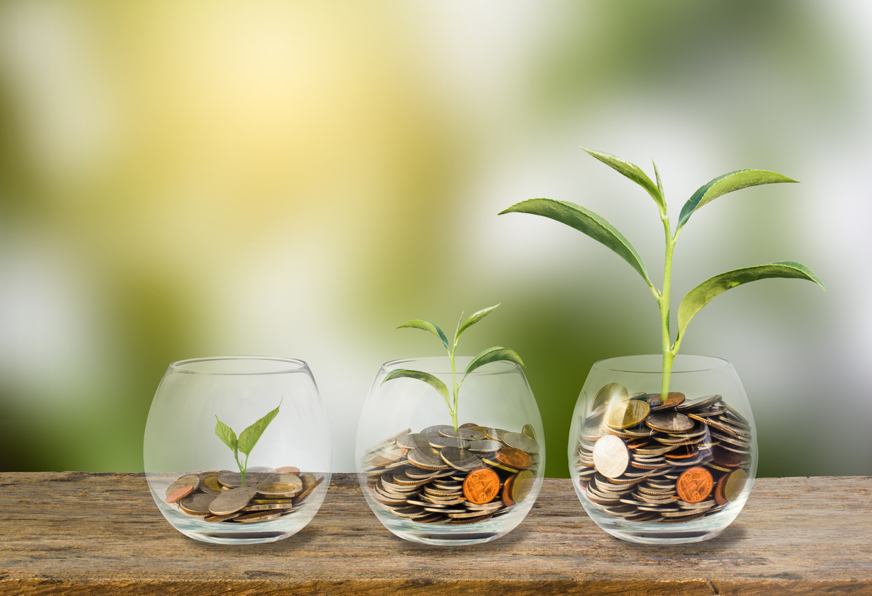 Build wealth: 5 Guaranteed Ways to Grow and Preserve Wealth